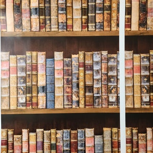 Rustic Library Style Book Shelf Peel and Stick Wallpaper - Etsy