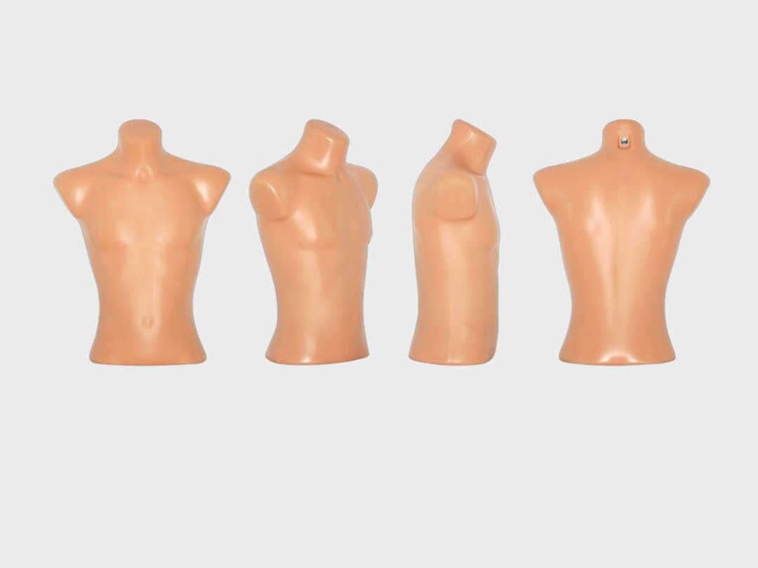 Display Forms, Male Body, Male Torso Display - Etsy