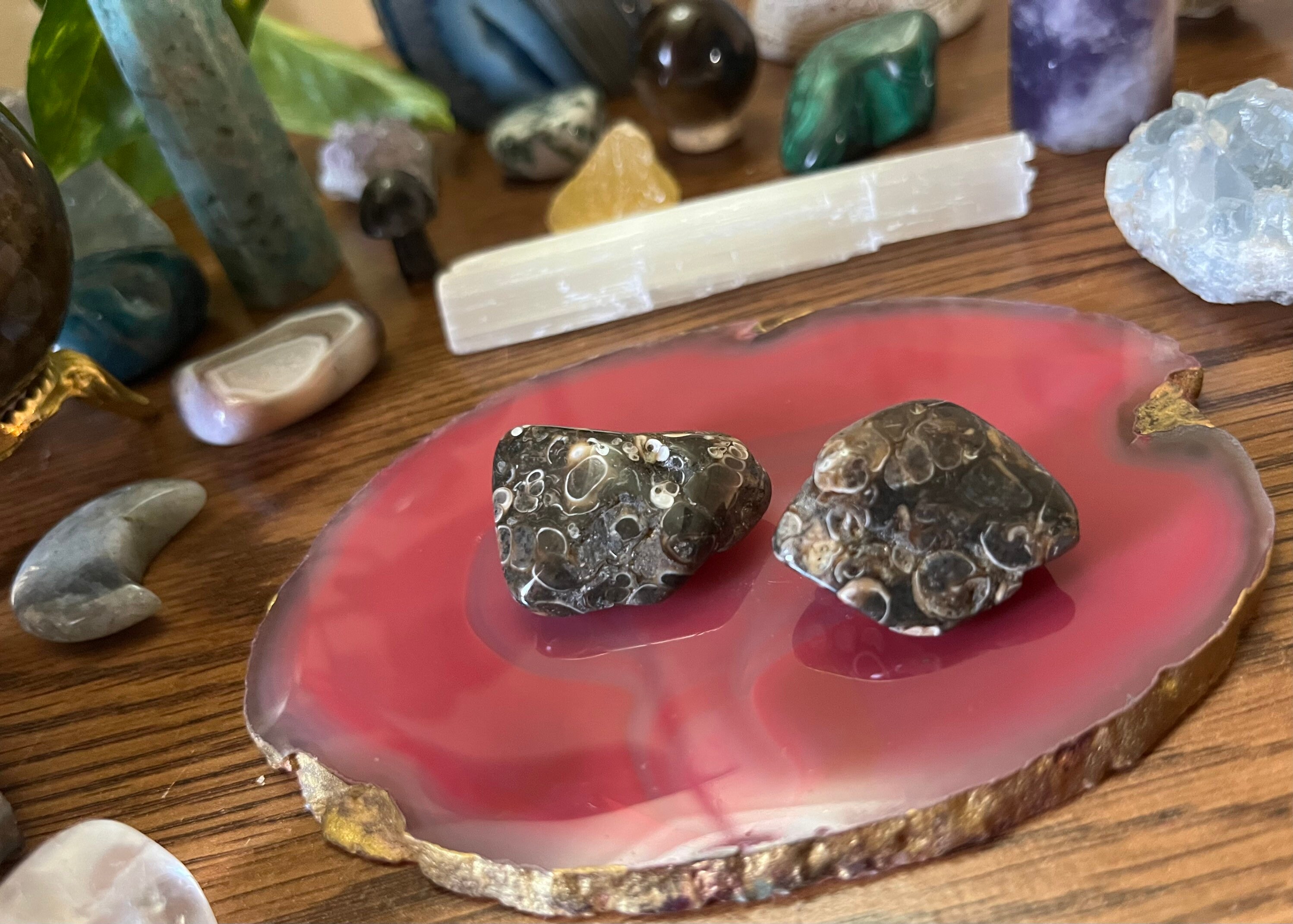 Leopard Skin Jasper Tumbled Stones - Etsy