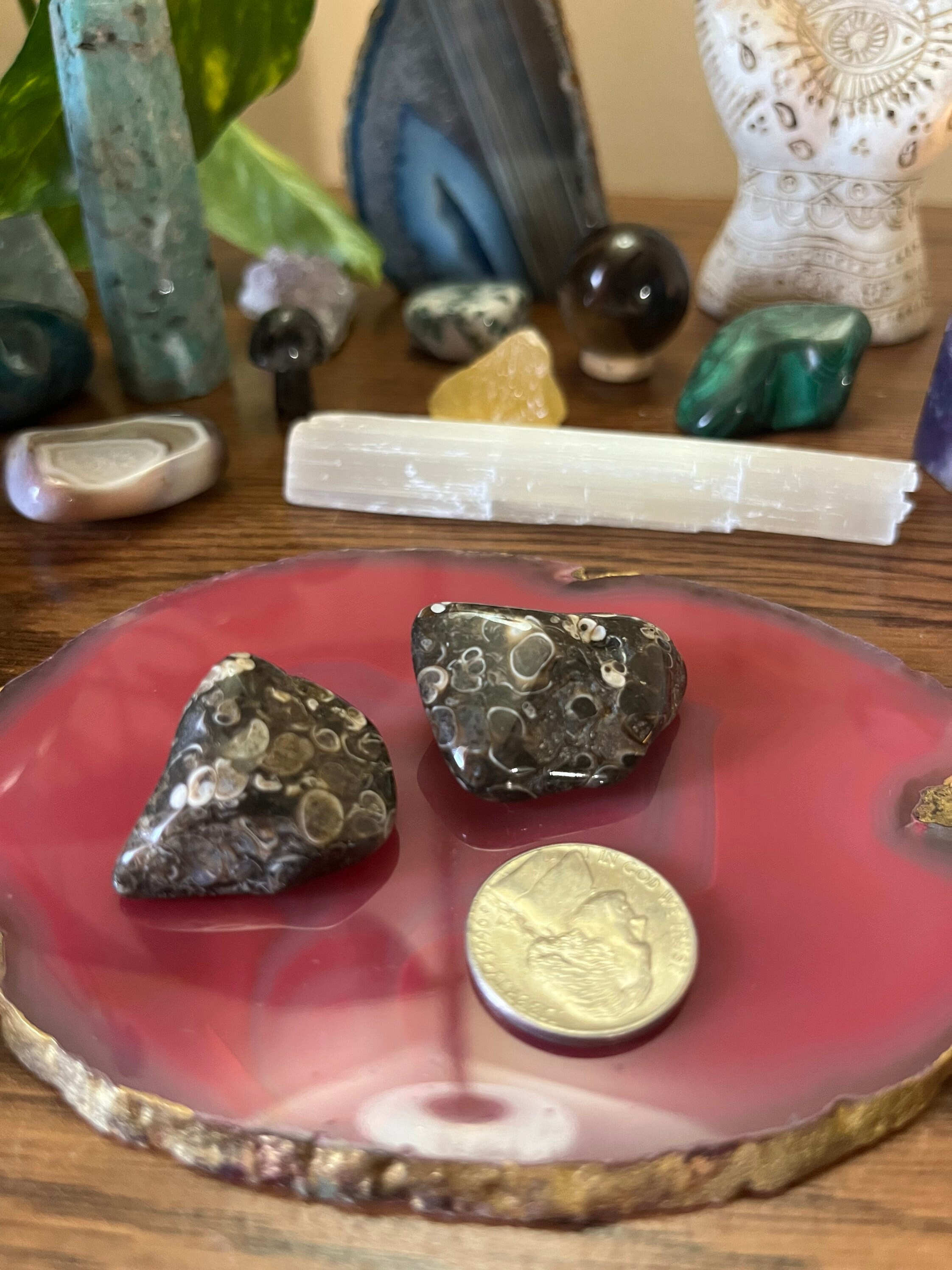 Leopard Skin Jasper Tumbled Stones - Etsy