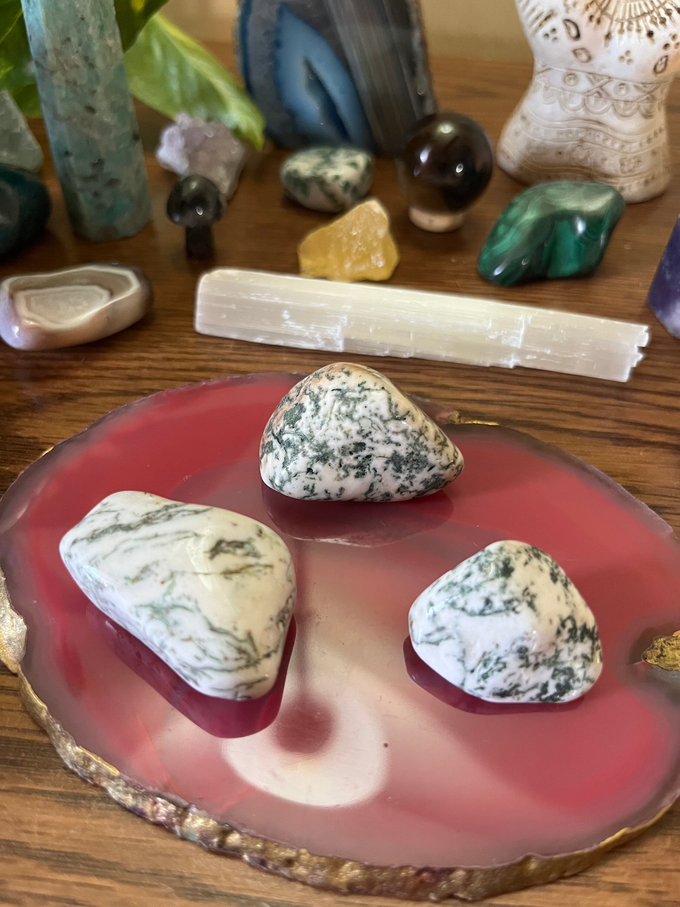 Tree Agate Tumbled Stones - Etsy