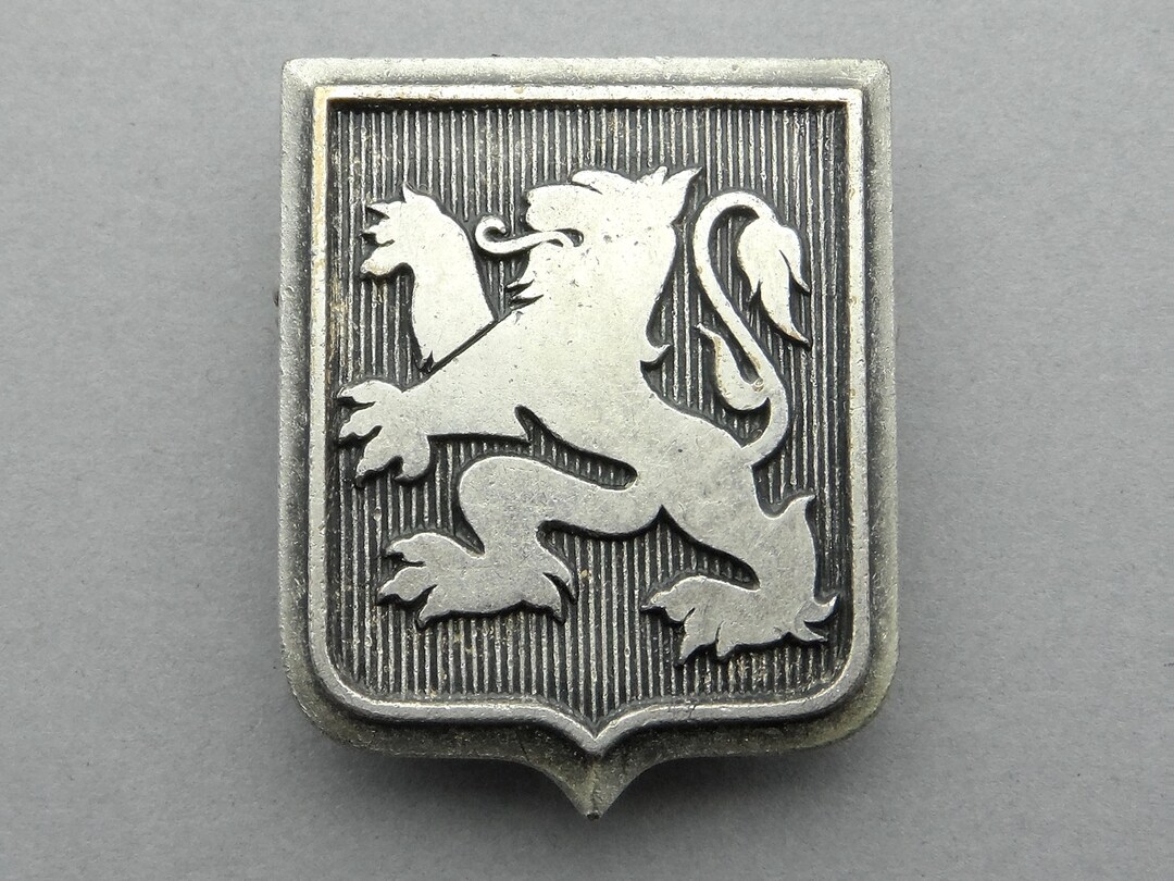 Lion, City of Lyon. Coat of Arms. Antique Large Brooch. - Etsy