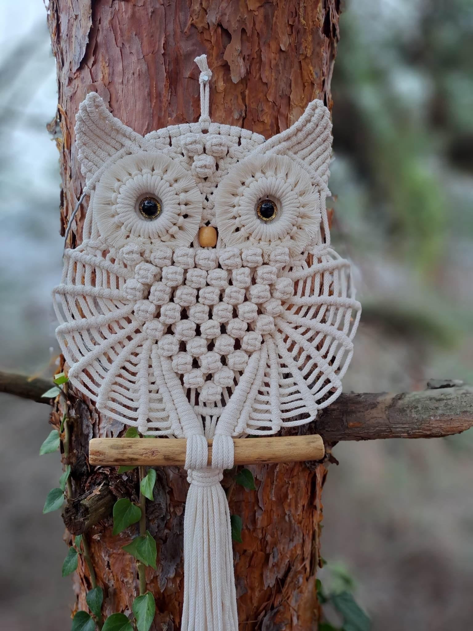 White Macramé Owl Macrame Owl Kit Housewarming Gift Wall - Etsy