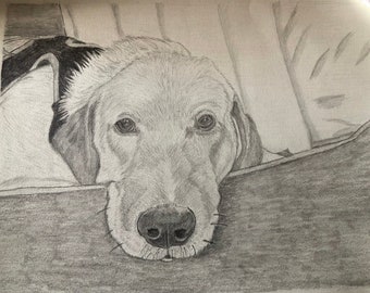 Custom Graphite Pet Portrait 8x10 - Etsy