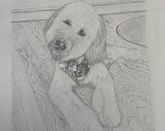 Custom Graphite Pet Portrait 8x10 - Etsy