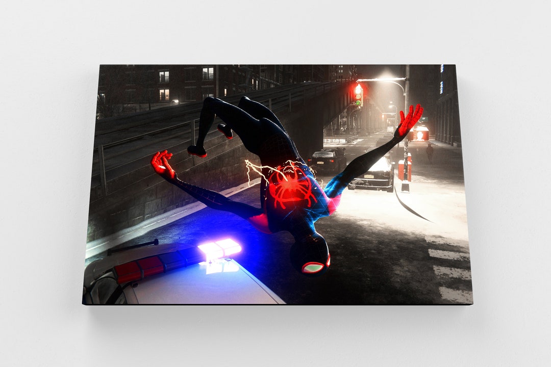Spider-man: Enter the Matrix - Etsy