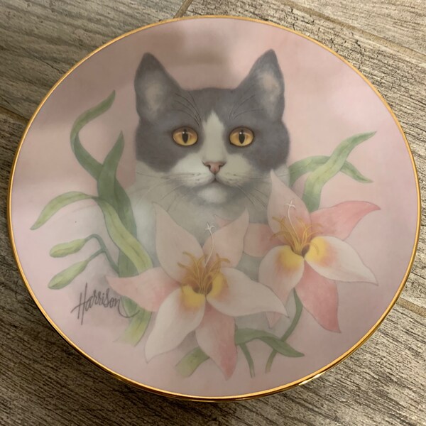 Cat Decorative Plate - Etsy