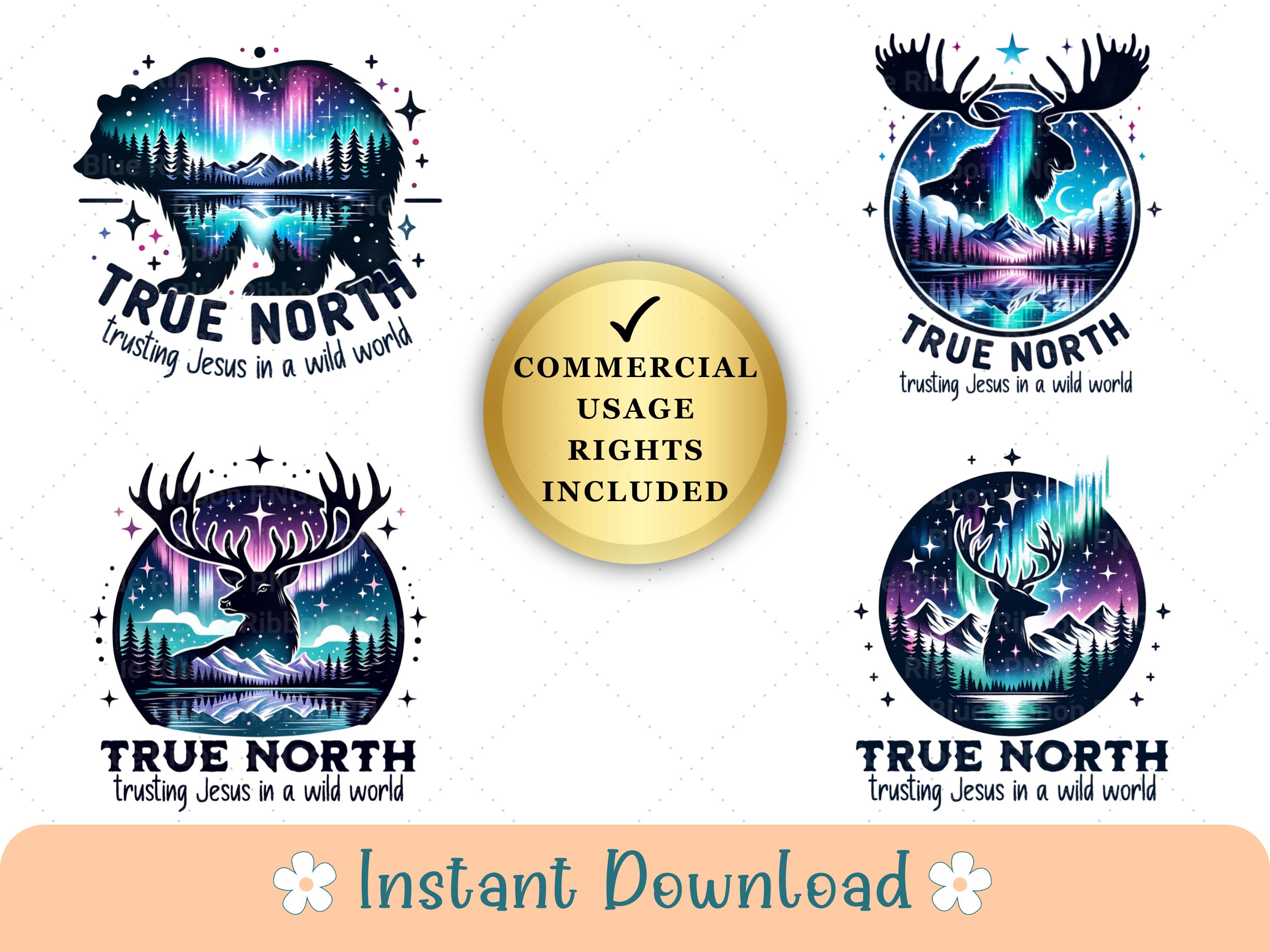 True North VBS Clipart Bundle, Vacation Bible School, Vbs Sublimation ...