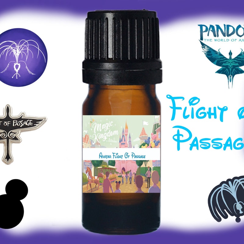 Flight of Passage Avatar - Etsy