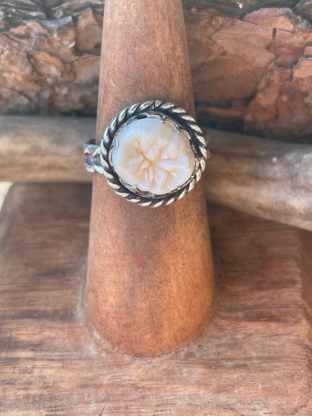 Human Tooth Ring Set in Sterling and Fine Silver, With Spider Web Bezel ...