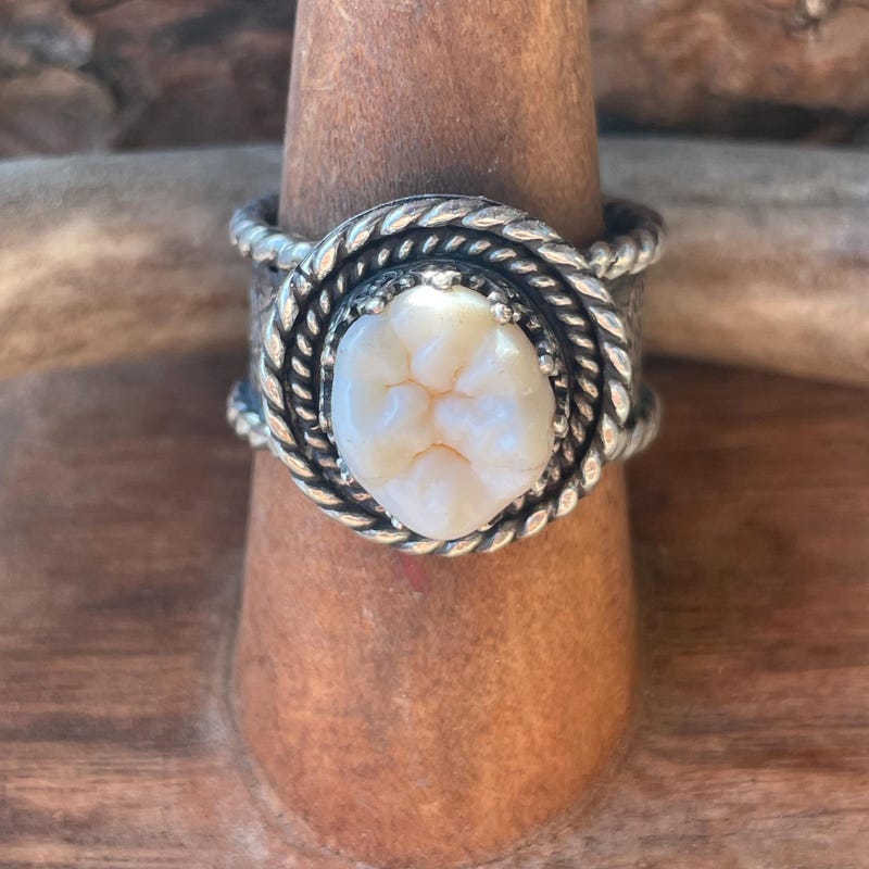 Tooth Ring - Etsy