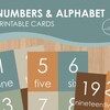 Number and Alphabet Cards, Flashcards for Kids, Early Learner ...