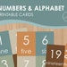 Number and Alphabet Cards, Flashcards for Kids, Early Learner ...