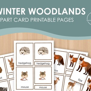 inspiredMontessori - Etsy