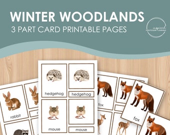 Spanish Alphabet Cards Spanish for Kids Spanish Classroom - Etsy