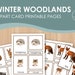 Winter Woodland 3-part Cards, Montessori Inspired Flash Cards, Matching ...