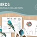 Birds Printable Collection, Montessori Inspired Animal Activity for ...