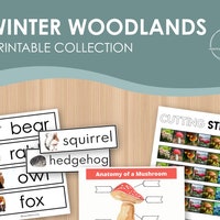 Spanish Alphabet Cards, Spanish for Kids, Spanish Classroom, Bilingual ...