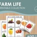 Farm Life Printable Activity, Preschool Printable, Montessori Printable ...