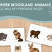 Winter Woodland Animals Vocabulary Cards Montessori Inspired - Etsy