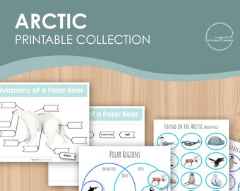 Snow & Snowflakes Pack Montessori-inspired Printable - Etsy