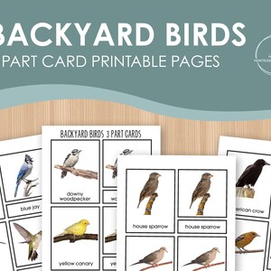 inspiredMontessori - Etsy