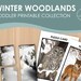 Winter Woodland Toddler Mini Printable Collection, Toddler Activity ...
