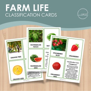 Farm Life Printable Flashcards, Preschool Activity, Kindergarten ...