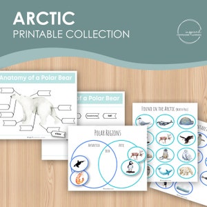 Arctic Printable Collection, Winter Printable, Winter Kids Crafts ...