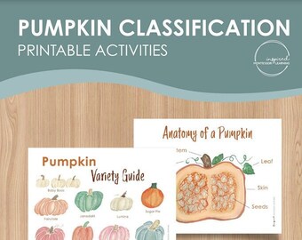 Pumpkin Unit Study Prophet Yunus Activities Allah's 99 - Etsy