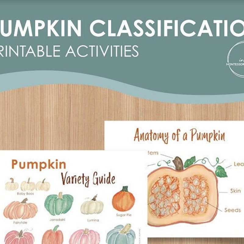 inspiredMontessori - Etsy