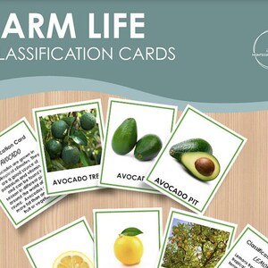 inspiredMontessori - Etsy