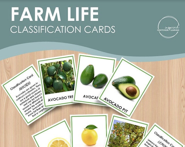 inspiredMontessori - Etsy