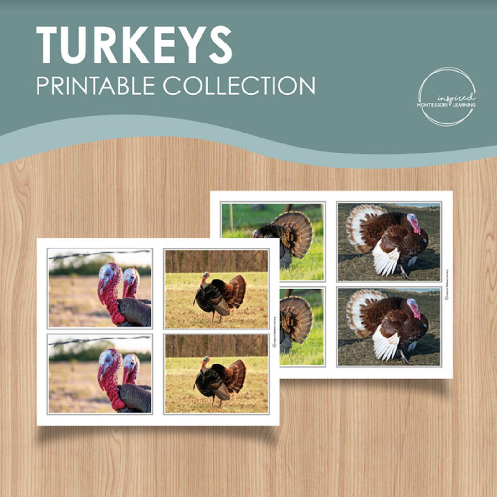 Turkey Printable Collection, Thanksgiving Activity, Fall Activity ...