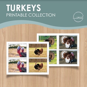 Turkey Printable Collection, Thanksgiving Activity, Fall Activity ...