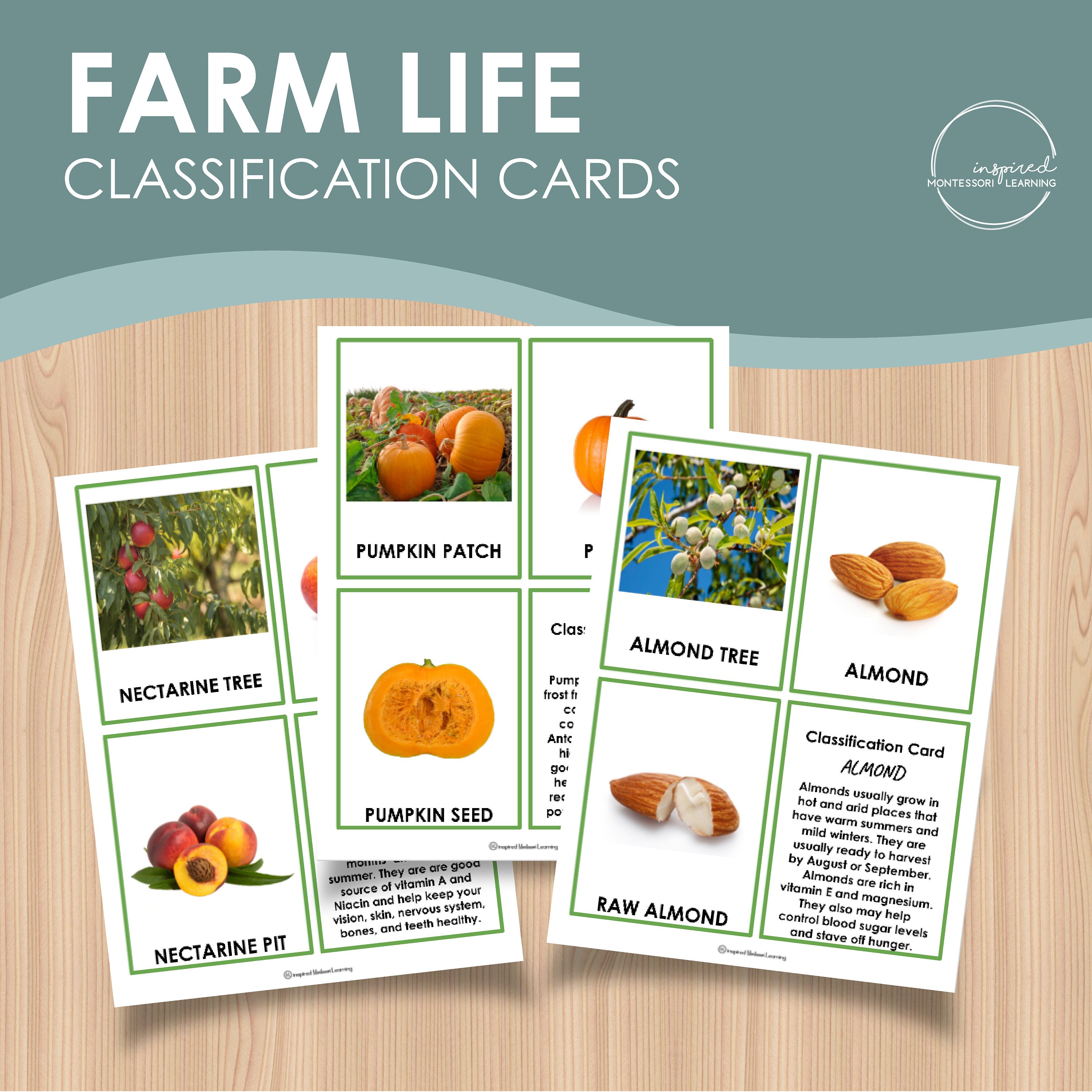 Farm Life Printable Flashcards, Preschool Activity, Kindergarten ...