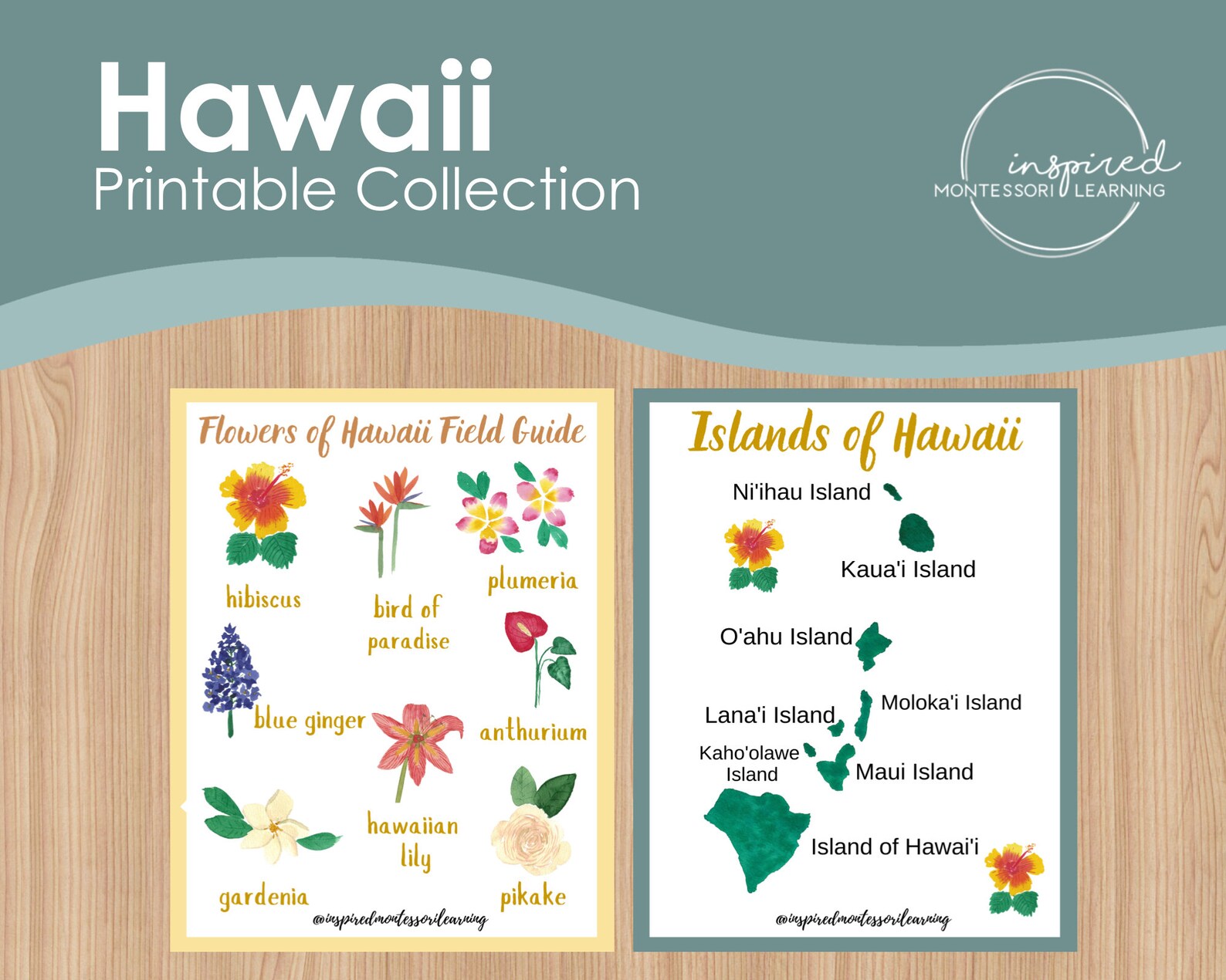Hawaii Flowers & Map Printable Activity, Flower 3 Part Cards, Tropical ...