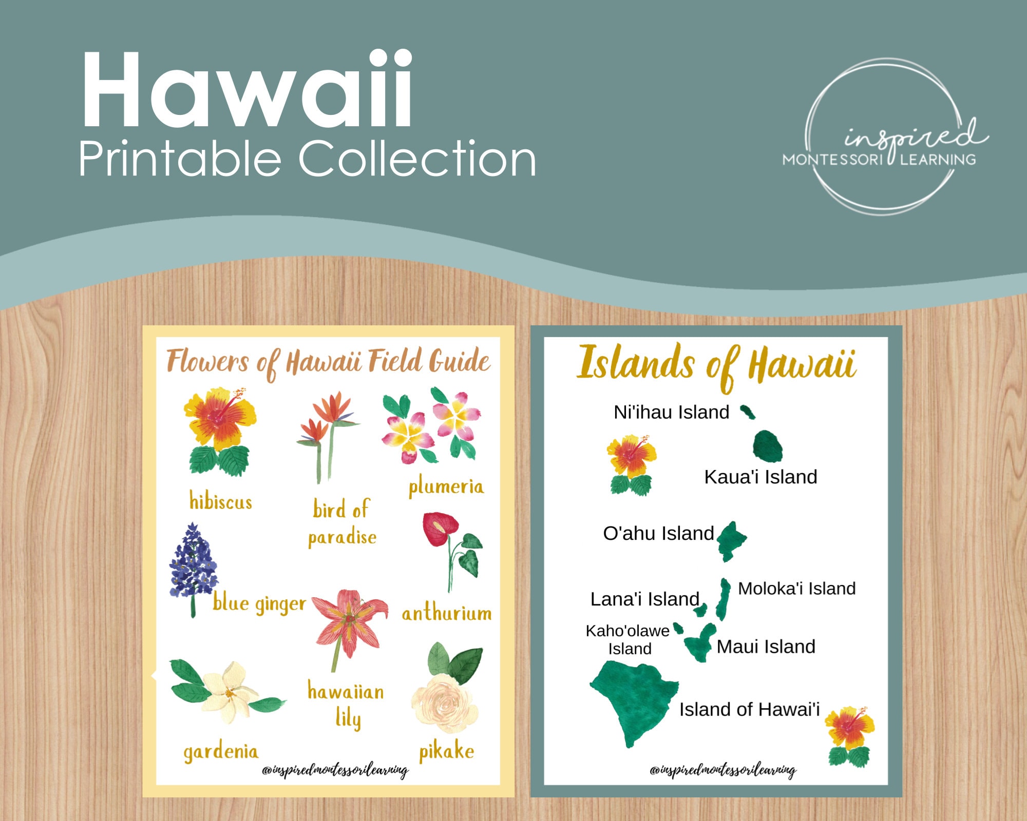 Hawaii Flowers & Map Printable Activity, Flower 3 Part Cards, Tropical ...