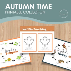 Autumn Printable Activity, Fall Kids Activity, Fall Printable ...