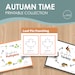 Autumn Printable Activity, Fall Kids Activity, Fall Printable ...