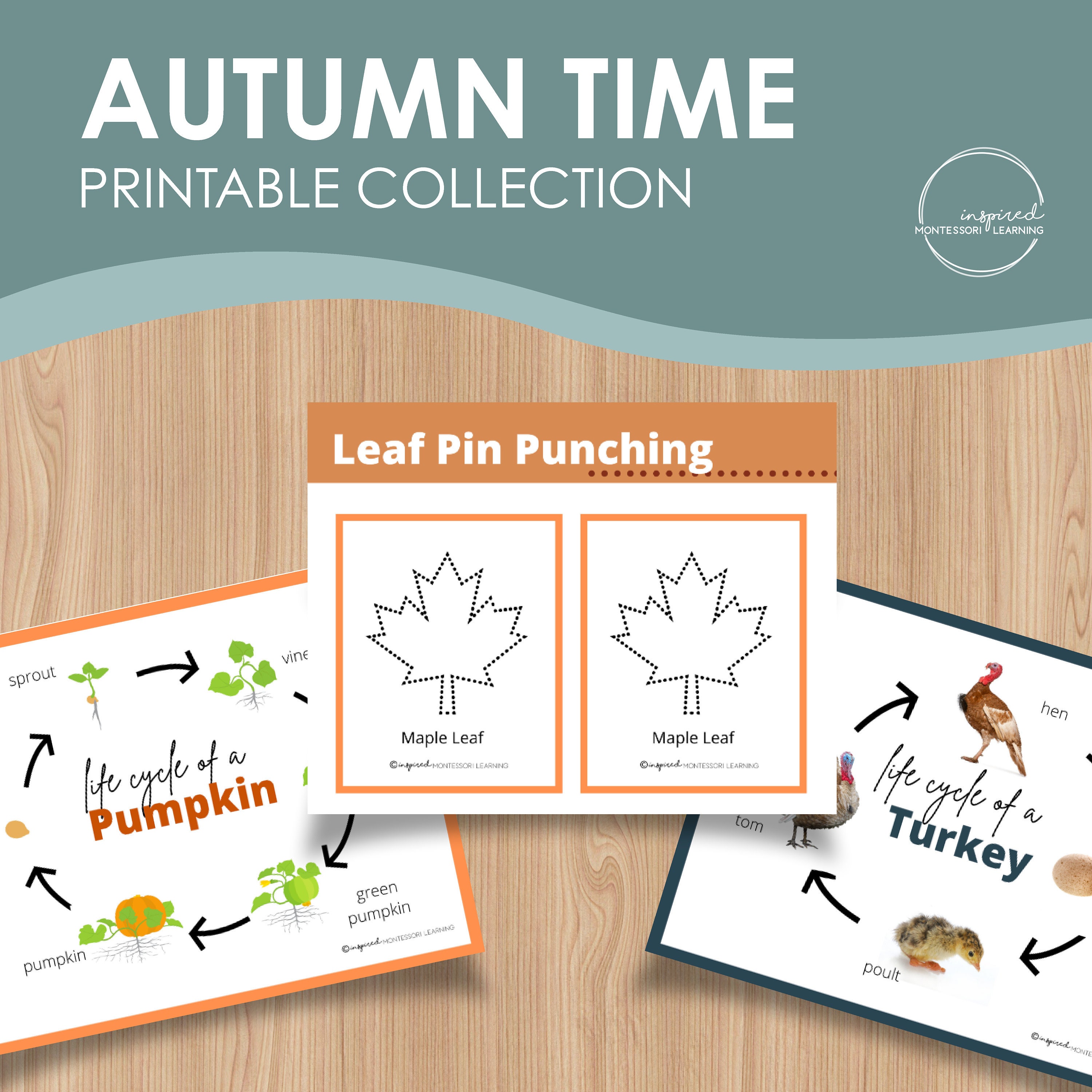 Autumn Printable Activity, Fall Kids Activity, Fall Printable ...