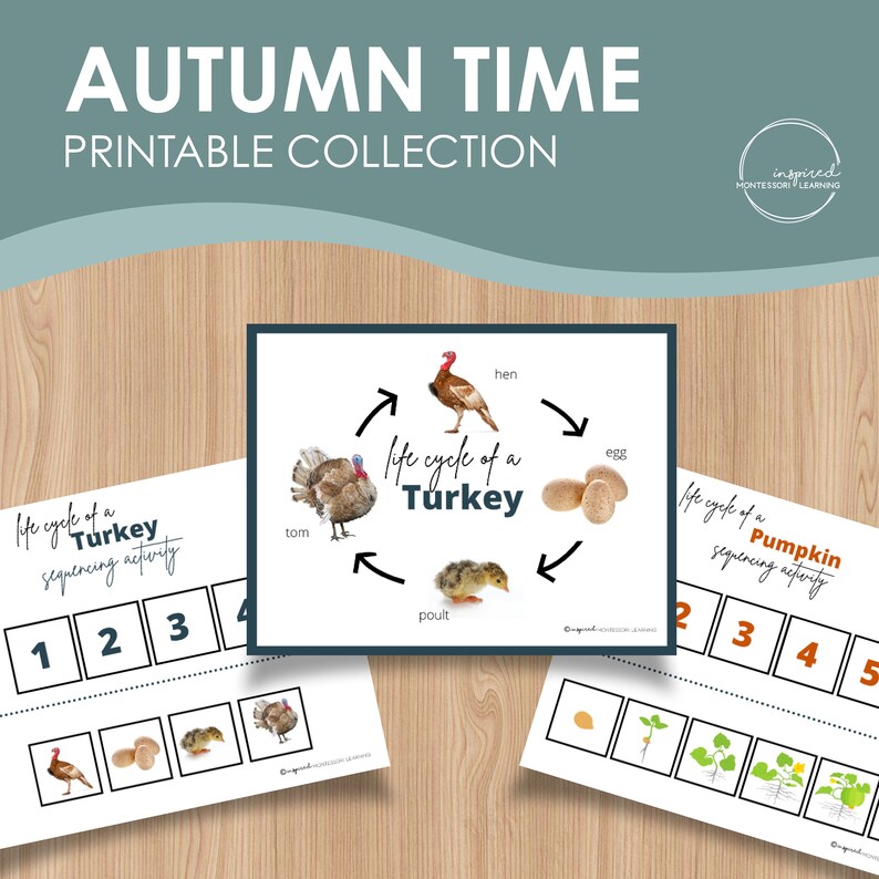 Autumn Printable Activity, Fall Kids Activity, Fall Printable ...