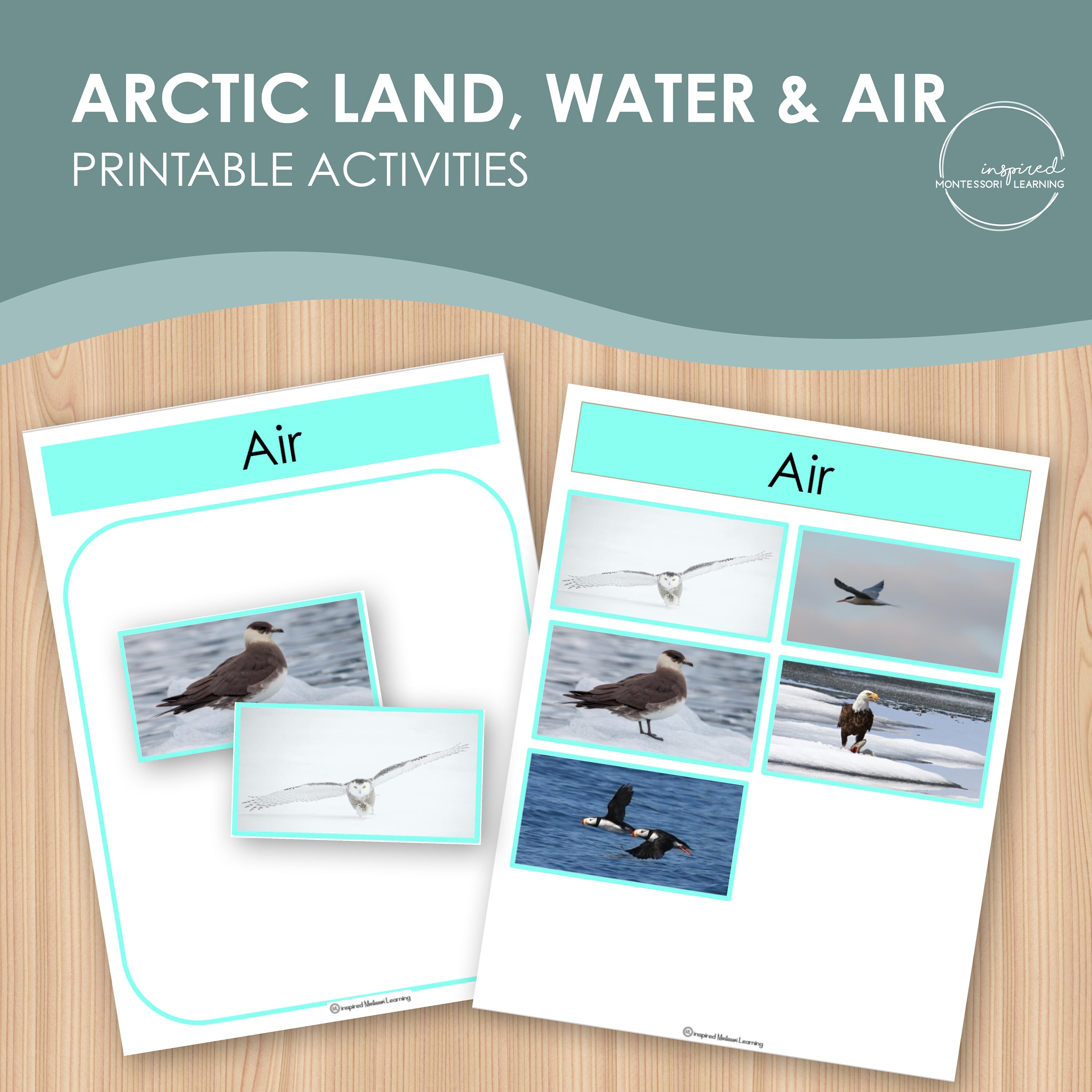 Arctic Regions Land, Air, and Water Printable Activity, Montessori ...
