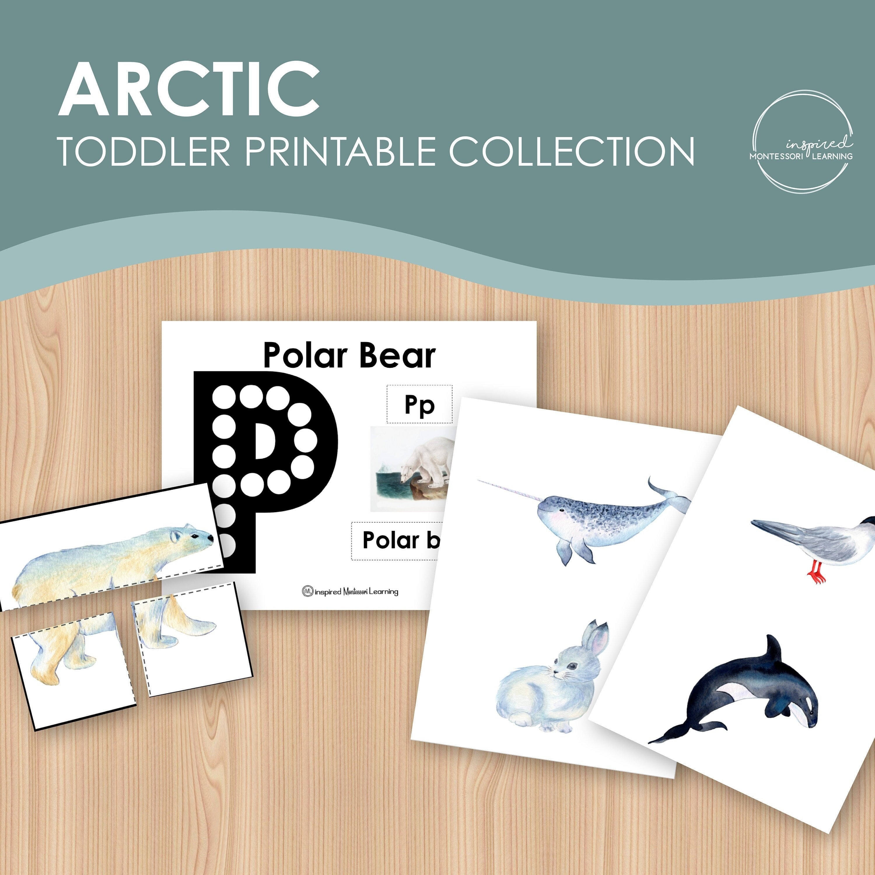 Arctic Regions Printable Collection for Toddlers, Montessori Inspired ...