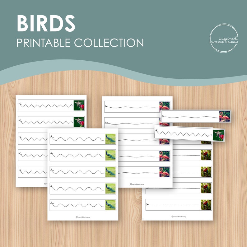 Birds Printable Collection, Montessori Inspired Animal Activity for ...