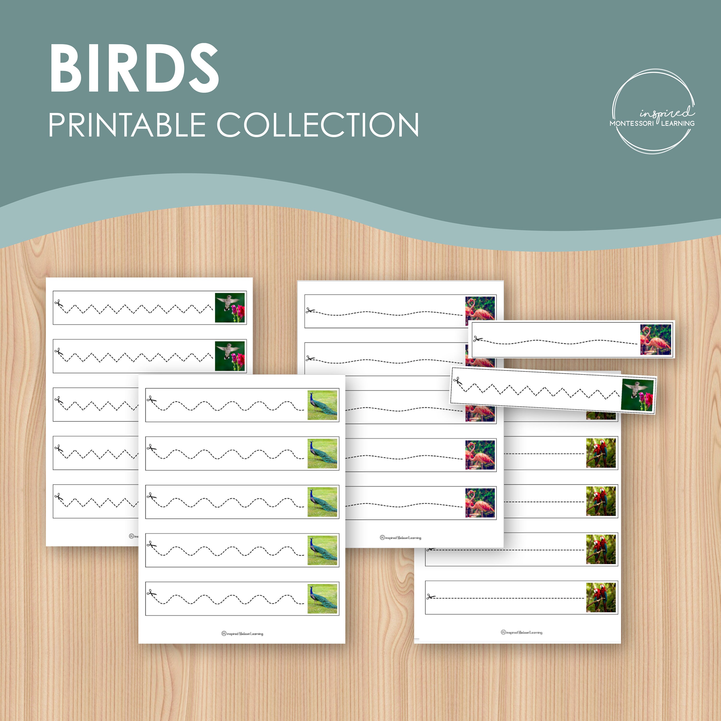 Birds Printable Collection, Montessori Inspired Animal Activity for ...