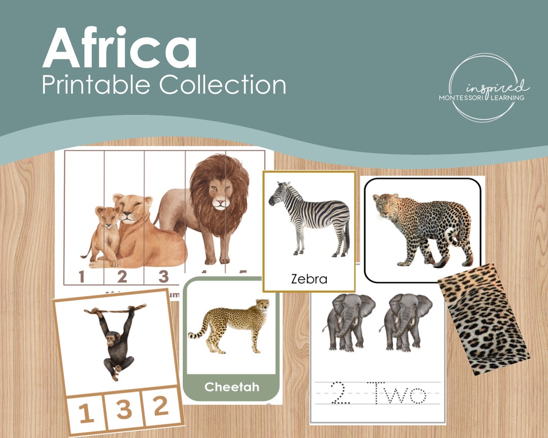 Africa Continent Study, African Animal Matching, Tracing Words and ...