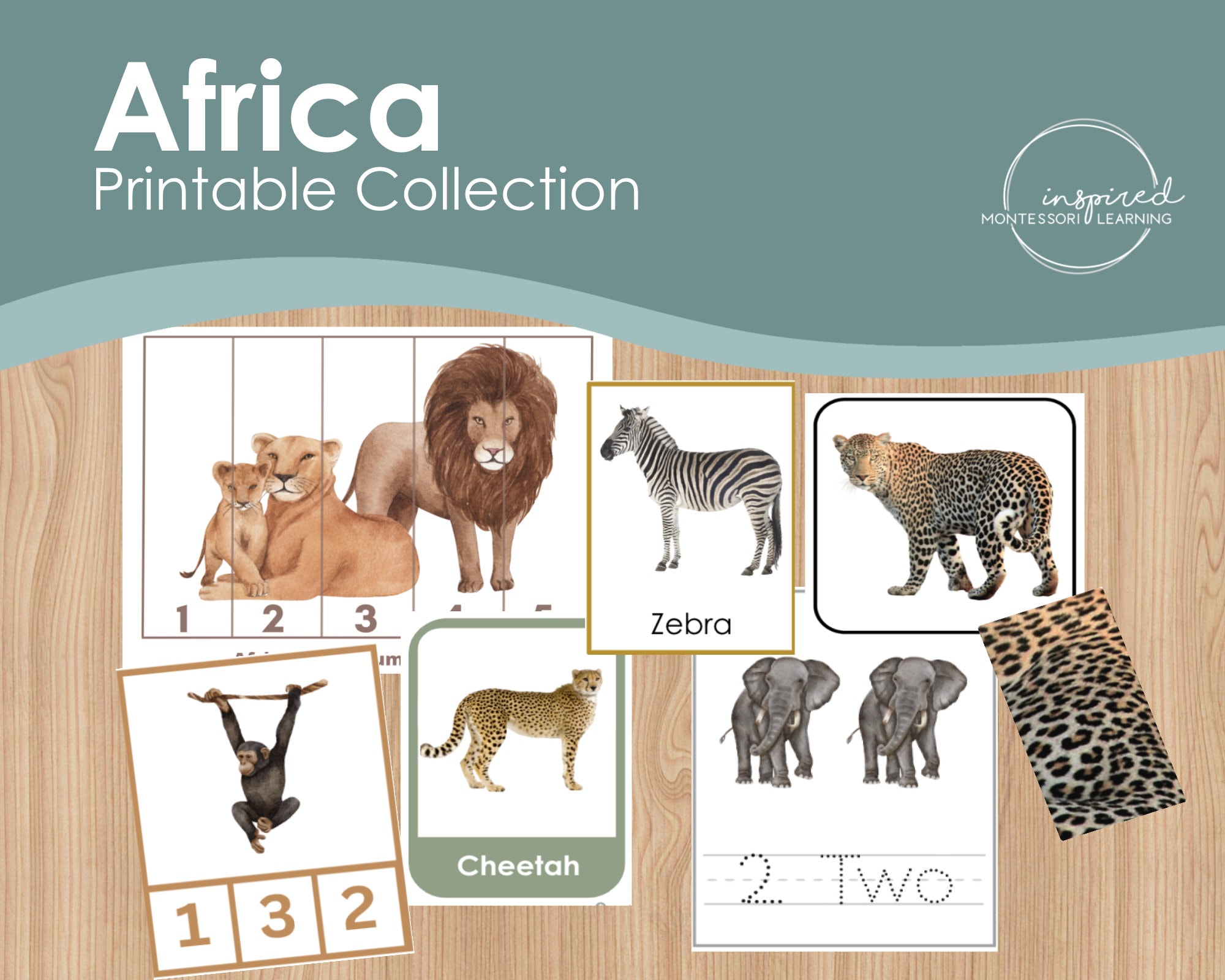 Africa Continent Study, African Animal Matching, Tracing Words and ...