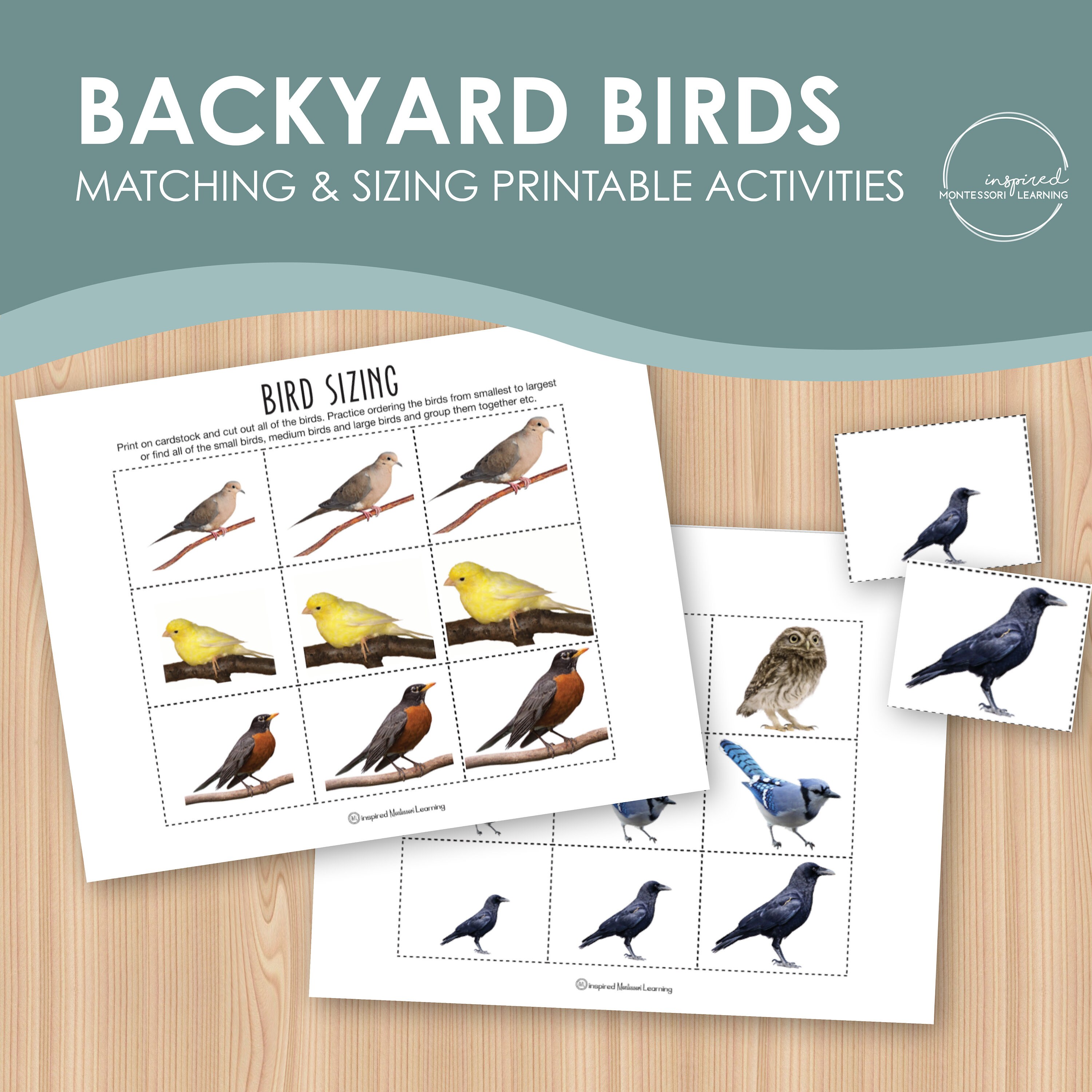 Backyard Birds Matching and Sizing, Montessori Inspired Bird Activity ...