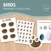 Birds Printable Collection, Montessori Inspired Animal Activity for ...